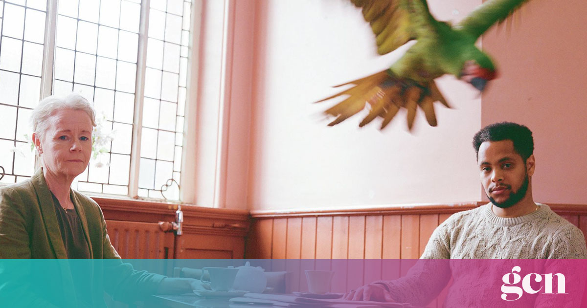 A look at the emotional adoption play Absent the Wrong • GCN