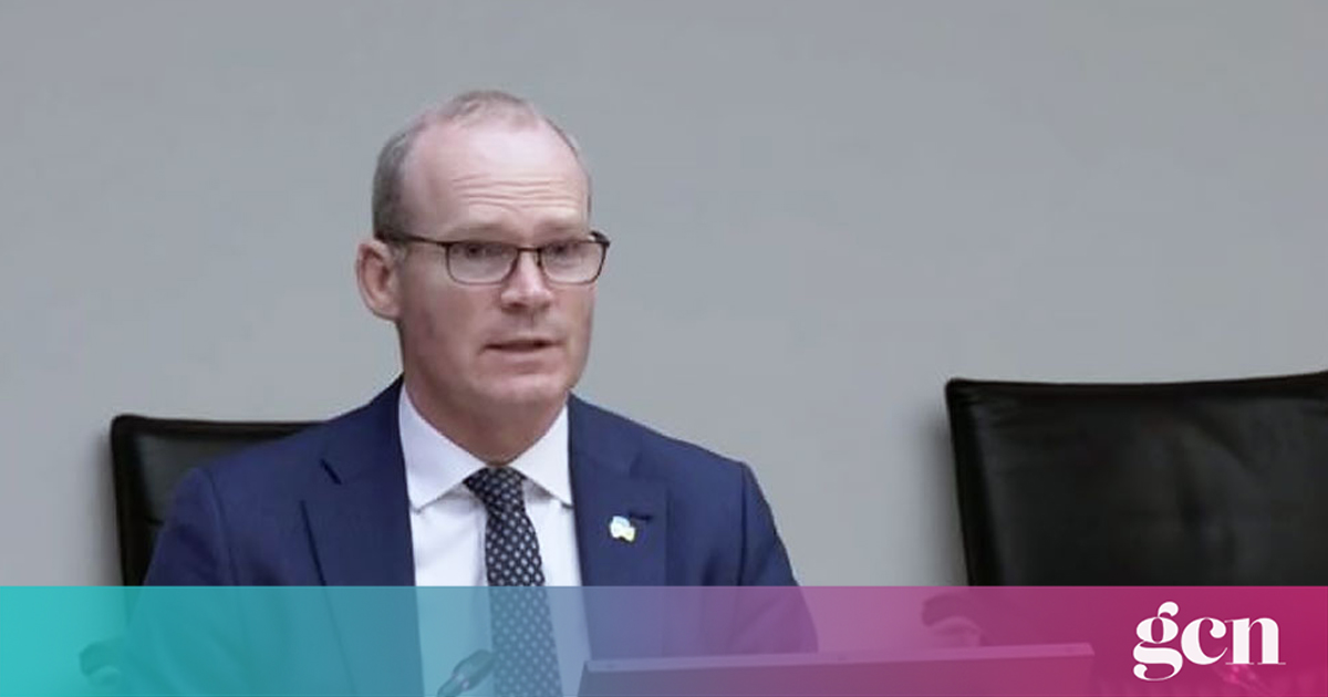 Irish Minister for Foreign Affairs Simon Coveney condemns FIFA's ban on ...