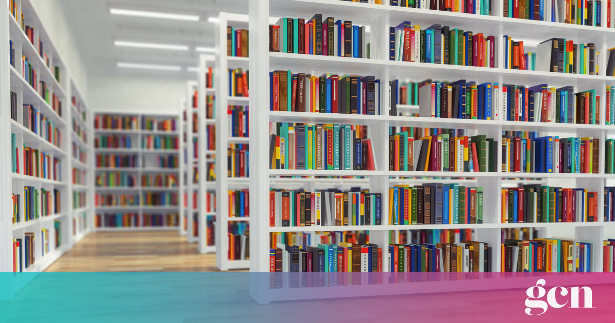 Dublin City Council condemns recent anti-LGBTQ+ library protests • GCN