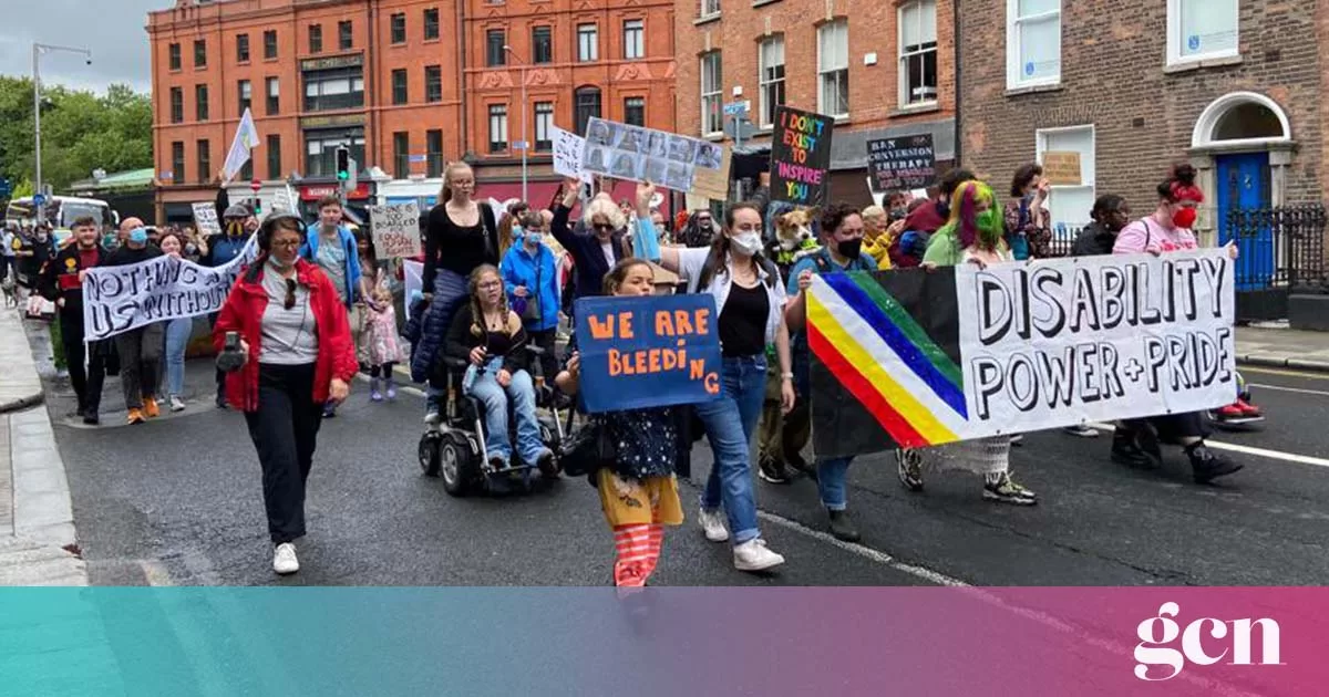 Hundreds Turn Out For Irelands First Ever Disability Pride Parade In
