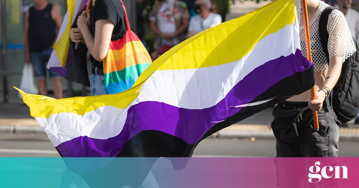 Scottish government announces first-of-its-kind Non-Binary Action Plan ...