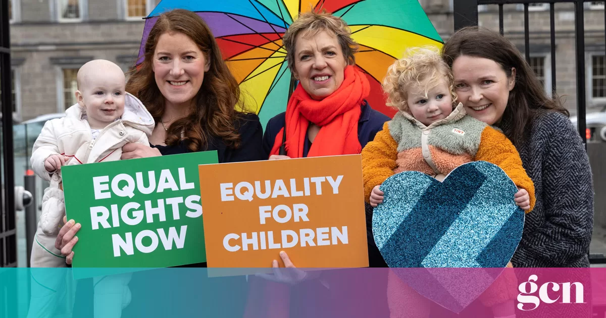 Dáil debates new bill to ensure legal equality for children born to ...