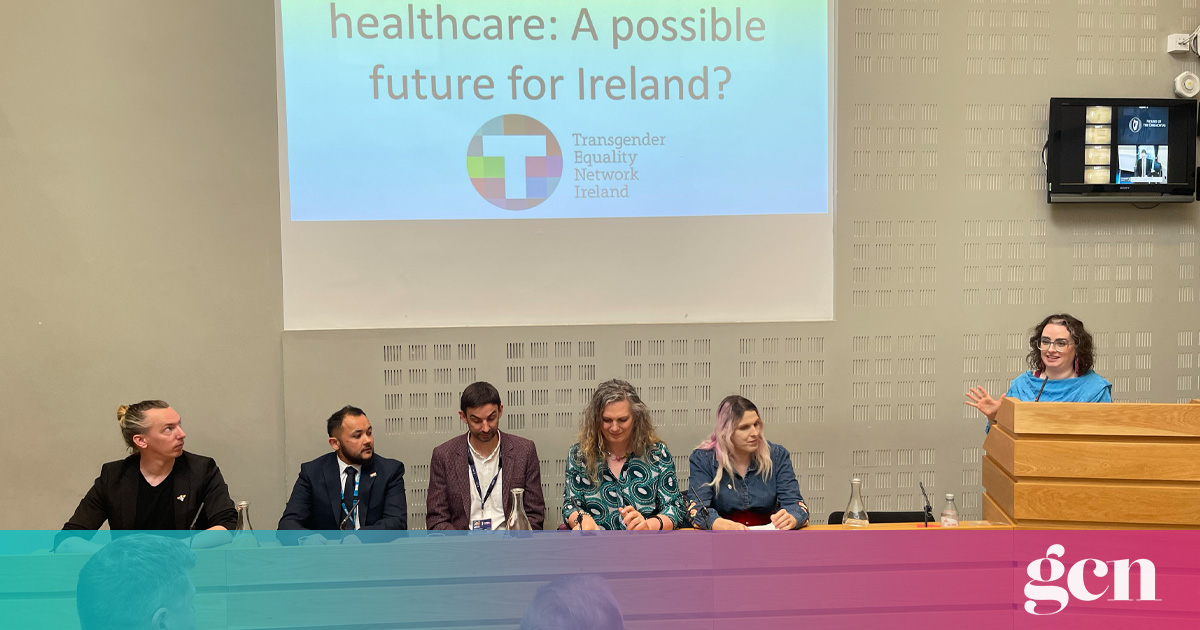Experts present trans healthcare best practices to Irish politicians at ...