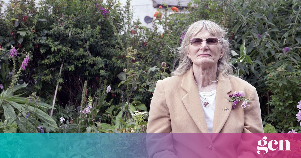 Portrait of Irish trans trailblazer Dr Lydia Foy wins prestigious prize ...