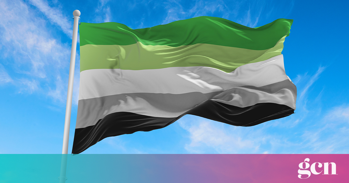 Exploring the different labels within the aromantic spectrum • GCN