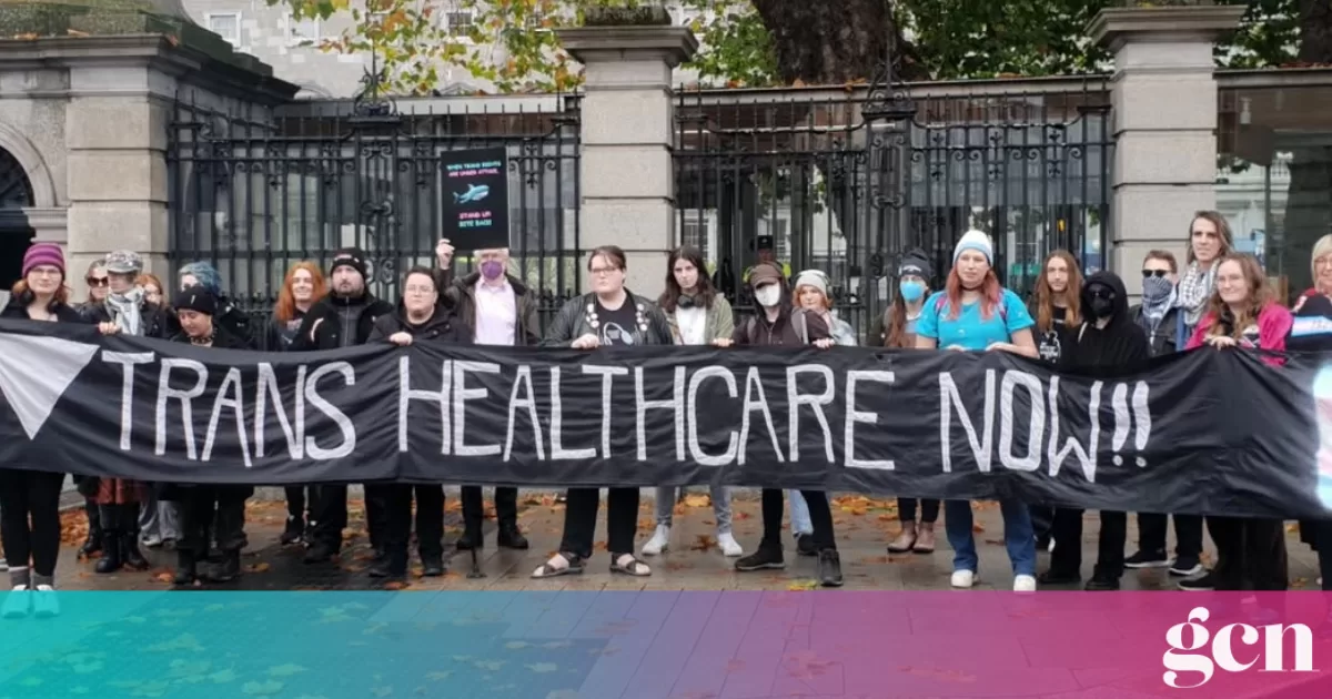 Trans healthcare group partners with Irish universities to expand free ...