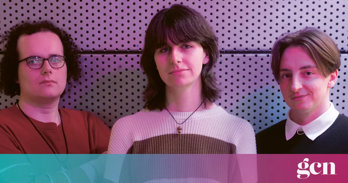 Community leaders outline their vision for Ireland's trans healthcare ...